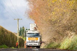 Fall Zone and Forestry Felling Consent | MainPower NZ
