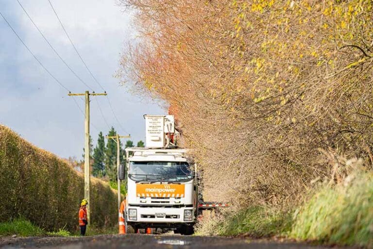 Fall Zone and Forestry Felling Consent | MainPower NZ