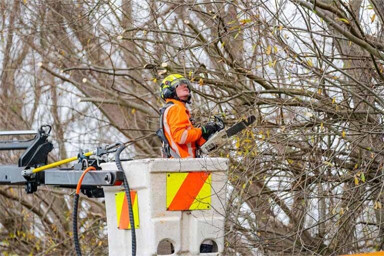 Working Safely Around Electricity | MainPower NZ